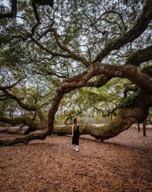 How to Have the Perfect Day Trip from Charleston to Savannah